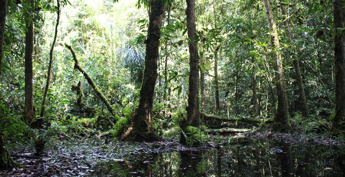 BMW Group, Tetra Pak and Schüco International express concerns about ...