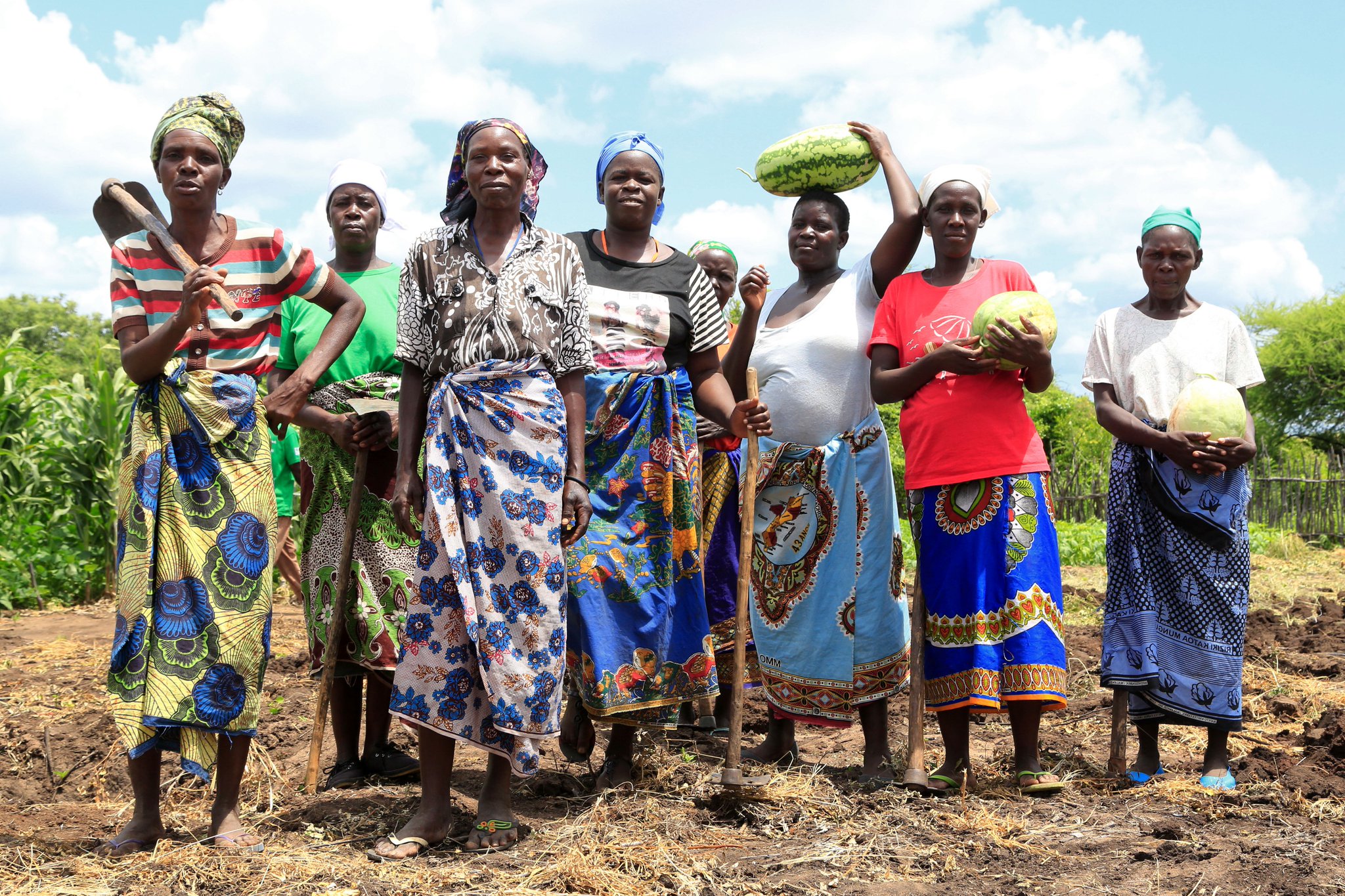 African growth corridors: a powerful example of the landscape approach ...
