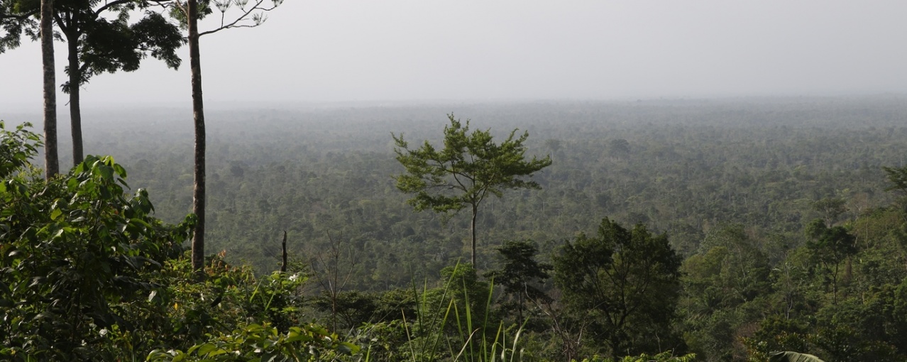 NGOs file complaint: plans to mine bauxite in Atewa Range Forest ...