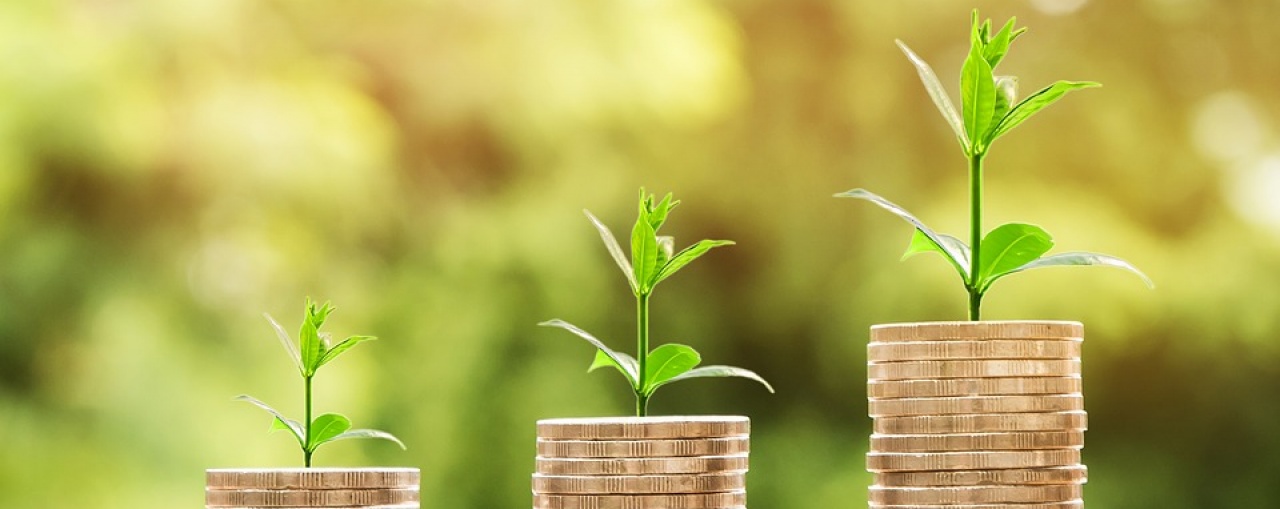 Following the money for sustainable landscape management | IUCN NL