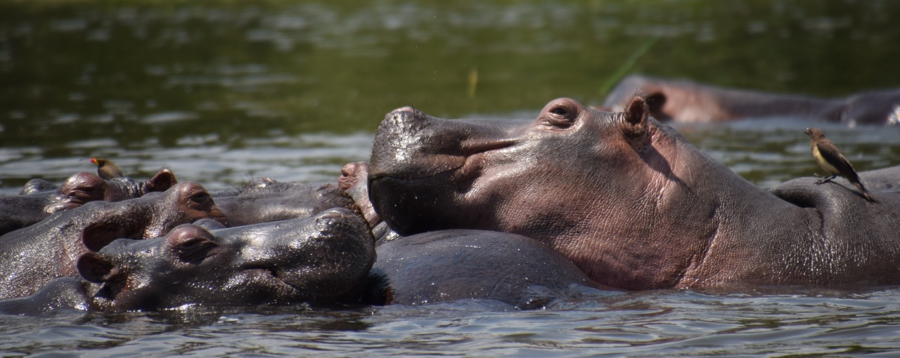 Transboundary biosphere reserve connects people and nature | IUCN NL