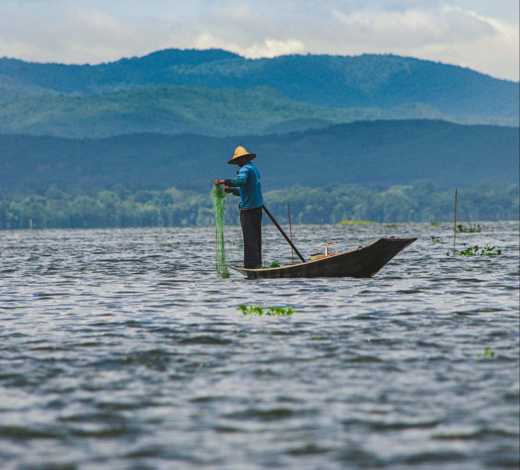 Freshwater sardinella return to Taal Lake | IUCN NL