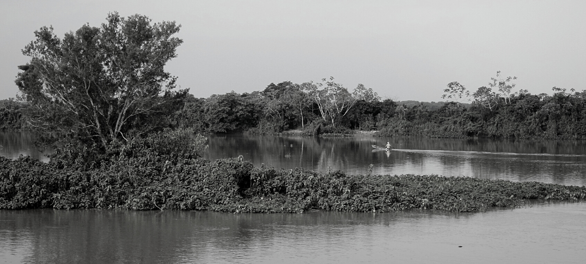 Ecosystem Alliance – IUCN NL