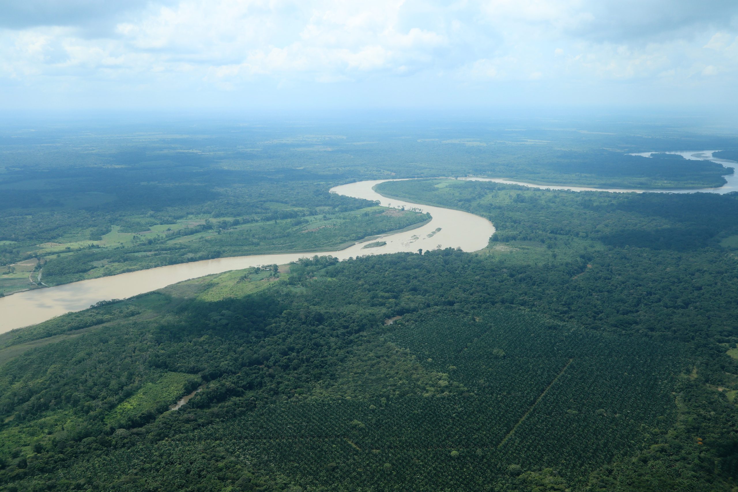 Drivers of deforestation in the Colombian Amazon: land grabbing | IUCN NL