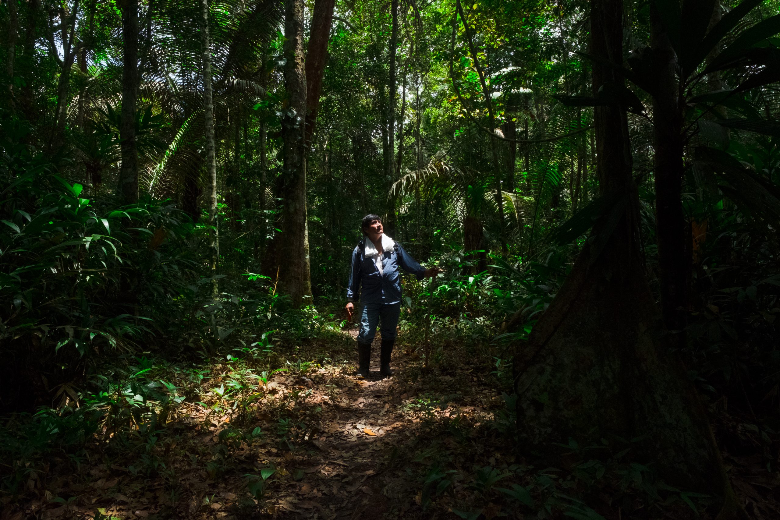 Human rights and gender in the new Global Biodiversity Framework | IUCN NL