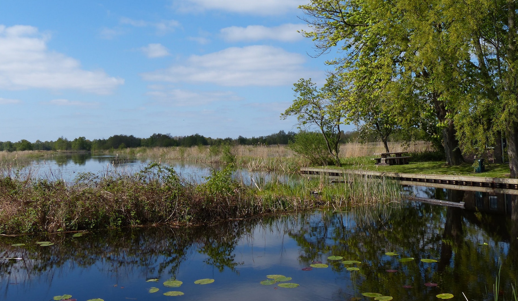 REWET: wetlands restoration – IUCN NL