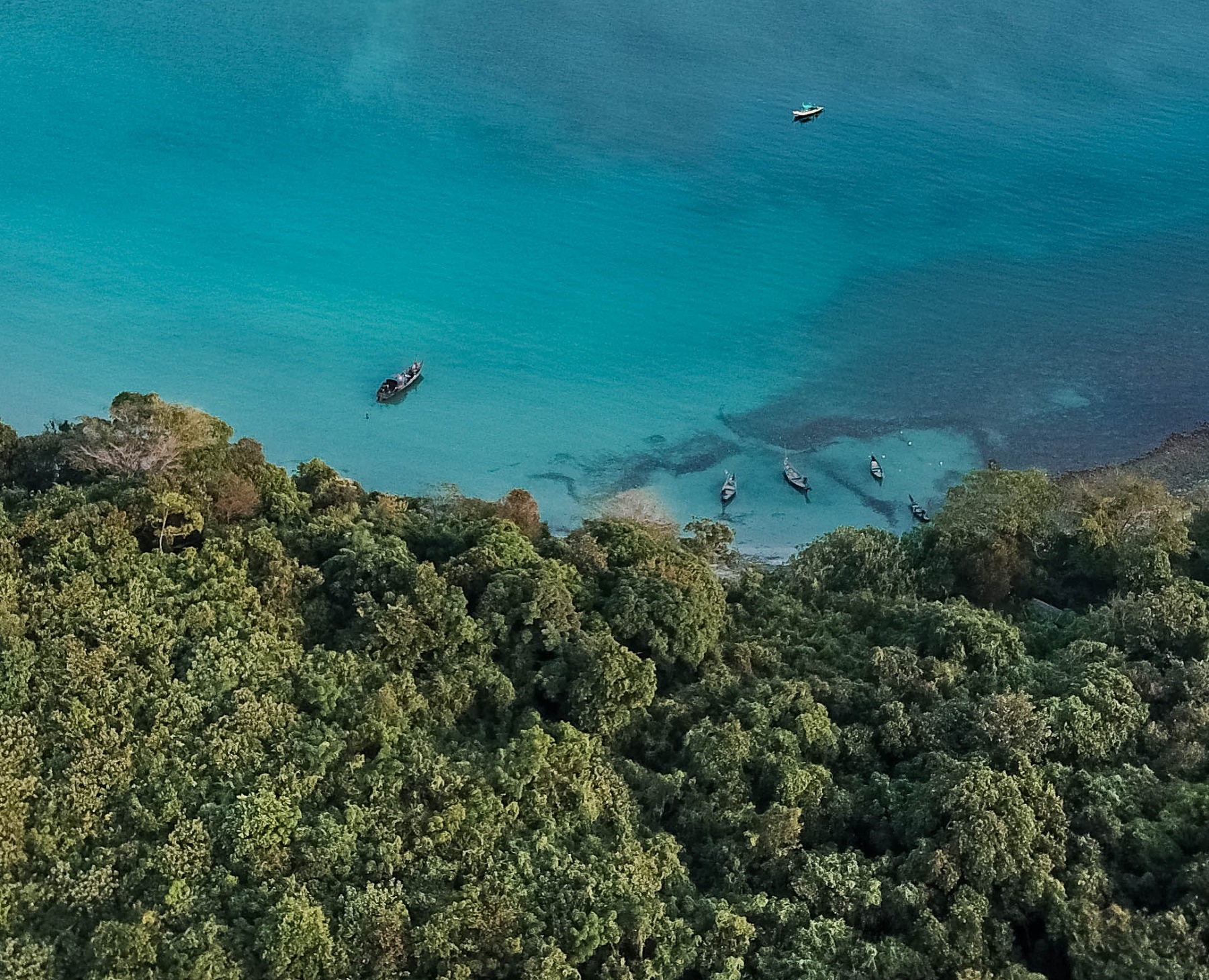 Nature conservation in times of conflict: Myanmar | IUCN NL