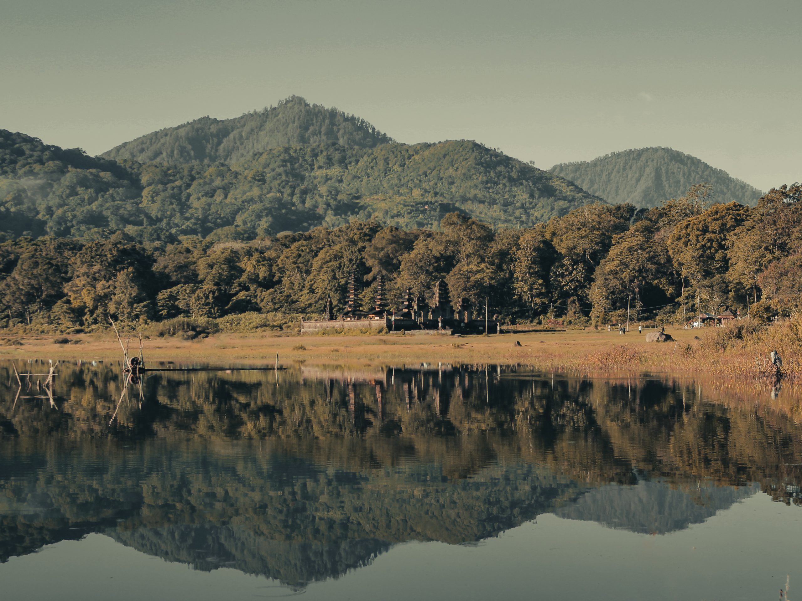 Indigenous youth in Bali are leading the way to keep their forest and ...