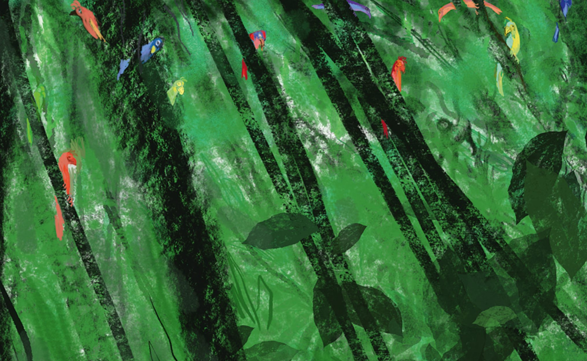 Econoom en Latijns-Amerika specialist biedt toekomstsperspectief voor ...