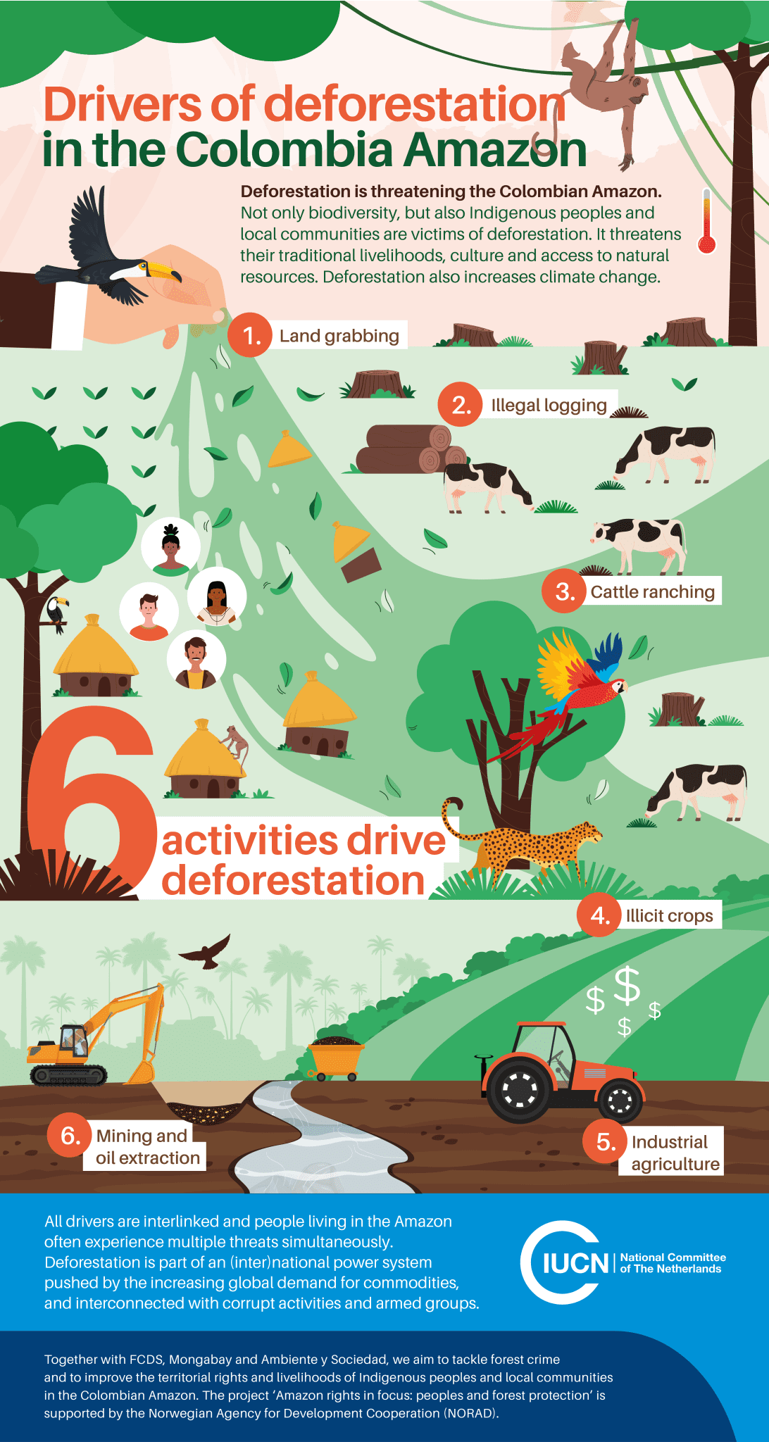 Drivers of deforestation in the Colombian Amazon: minerals, oil and gas ...