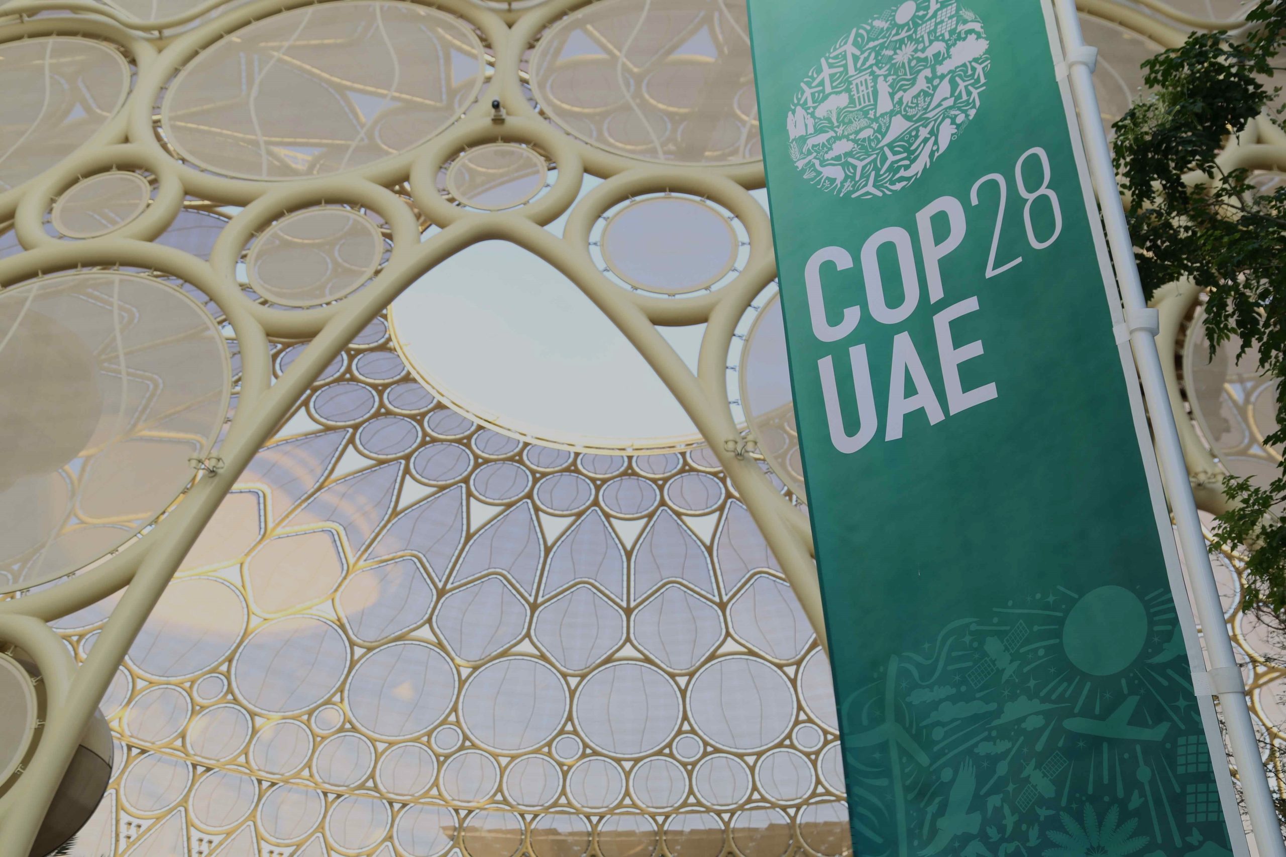 Important steps forward at COP28: nature crucial ally in tackling ...