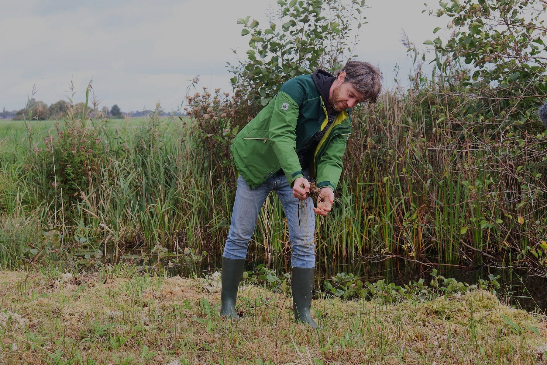 World Wetlands Day: human well-being, ecosystem services and wetlands ...