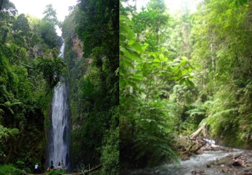 Major victory for the protection of the Marbel Buluan Watershed | IUCN NL