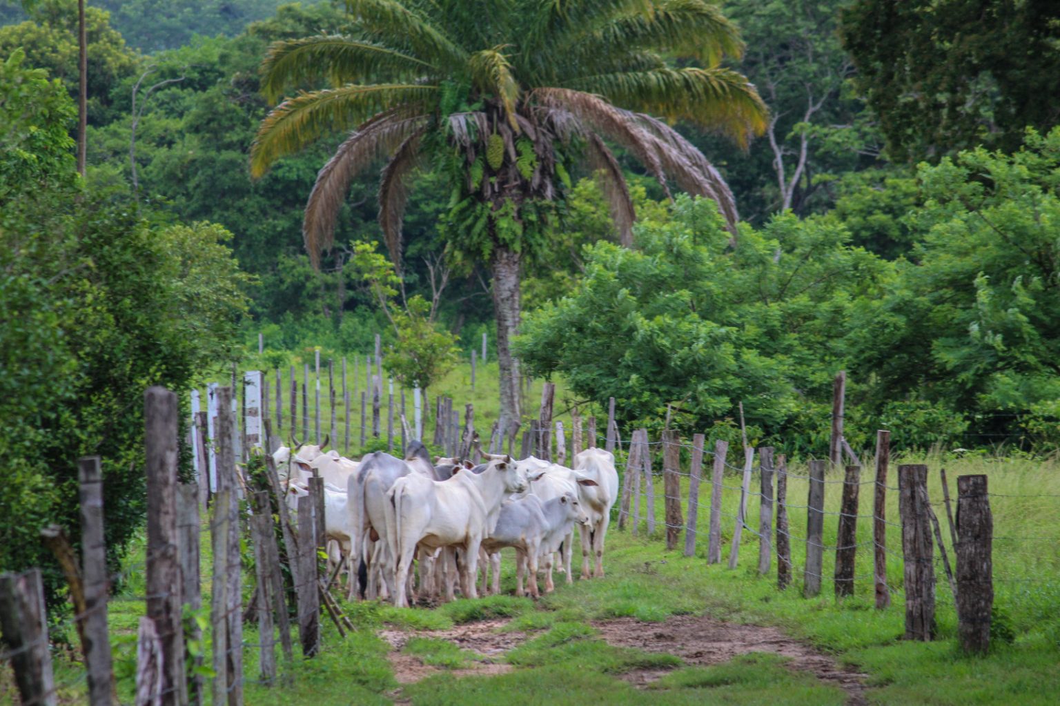 Bolivia's watershed agreements: a case study of locally-led adaptation ...
