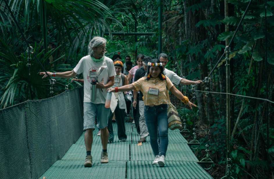 This is what the economy of the Amazon will look like | IUCN NL