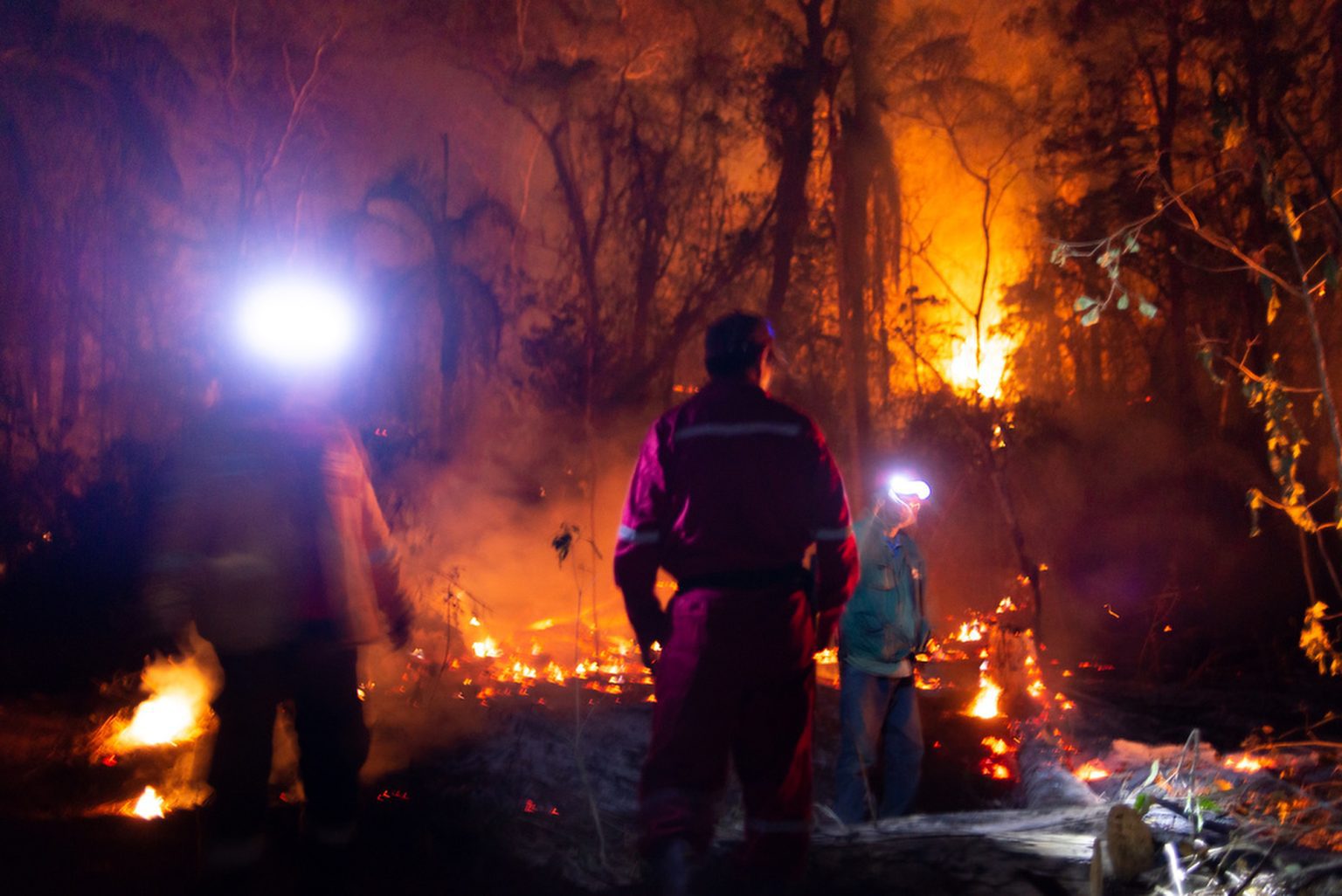 Burning in silence: Bolivia’s forest fires and its threat to global ...