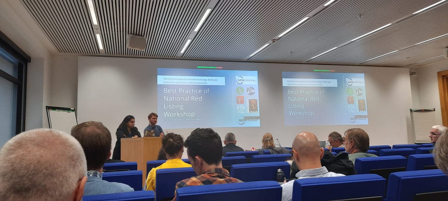 IUCN Red List workshop: recommendations for National Red Lists | IUCN NL