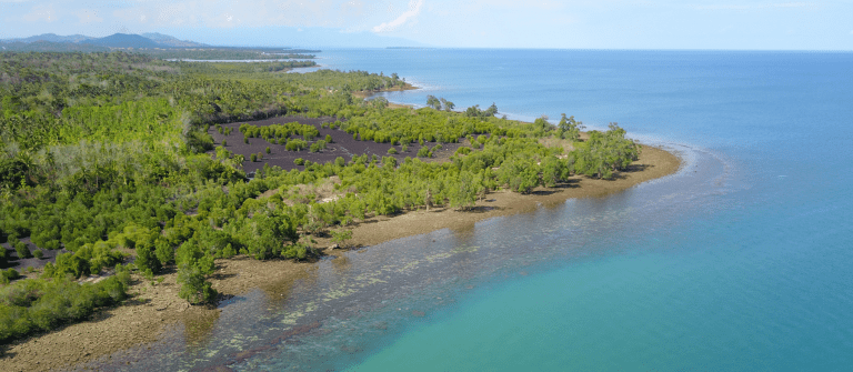 Palawan: a natural treasure in peril as the world scrambles for ...