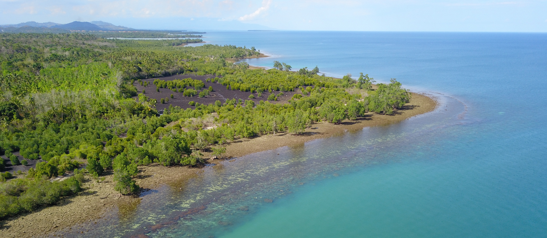 Palawan: a natural treasure in peril as the world scrambles for ...