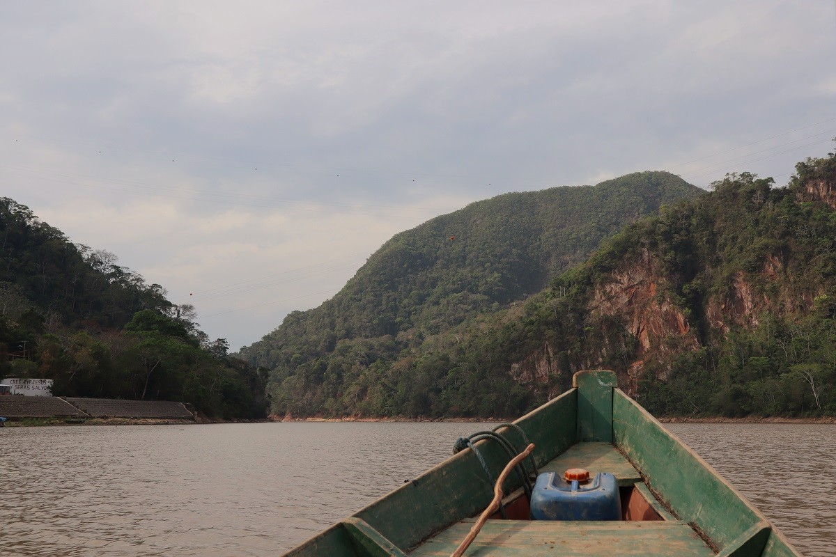 Bolivian environmental defender Marupa murdered: ‘they killed a ...