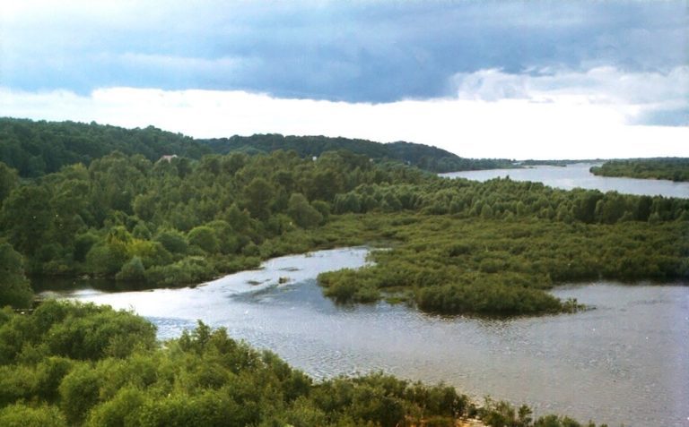 Wetland restoration: a nature-based solution for Europe's security ...