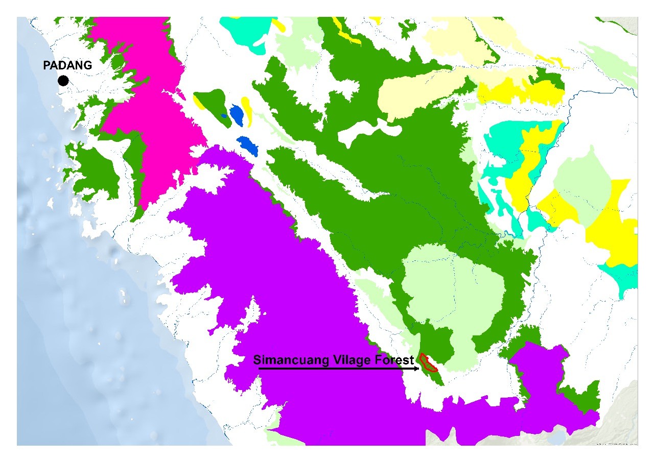 Floods remind Simancuang village in Indonesia to value their forest | IUCN NL