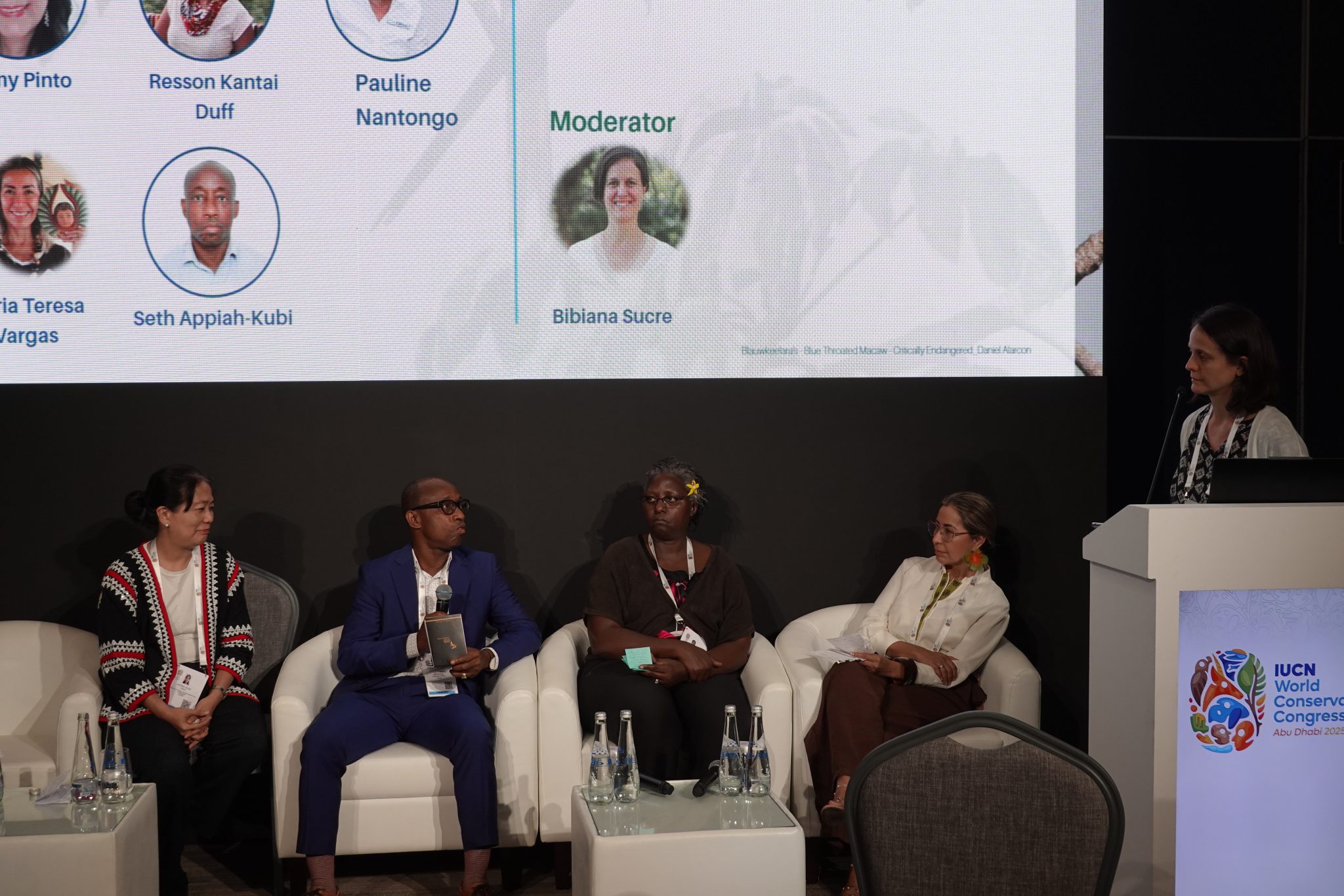 The 2025 World Conservation Congress: in retrospect | IUCN NL