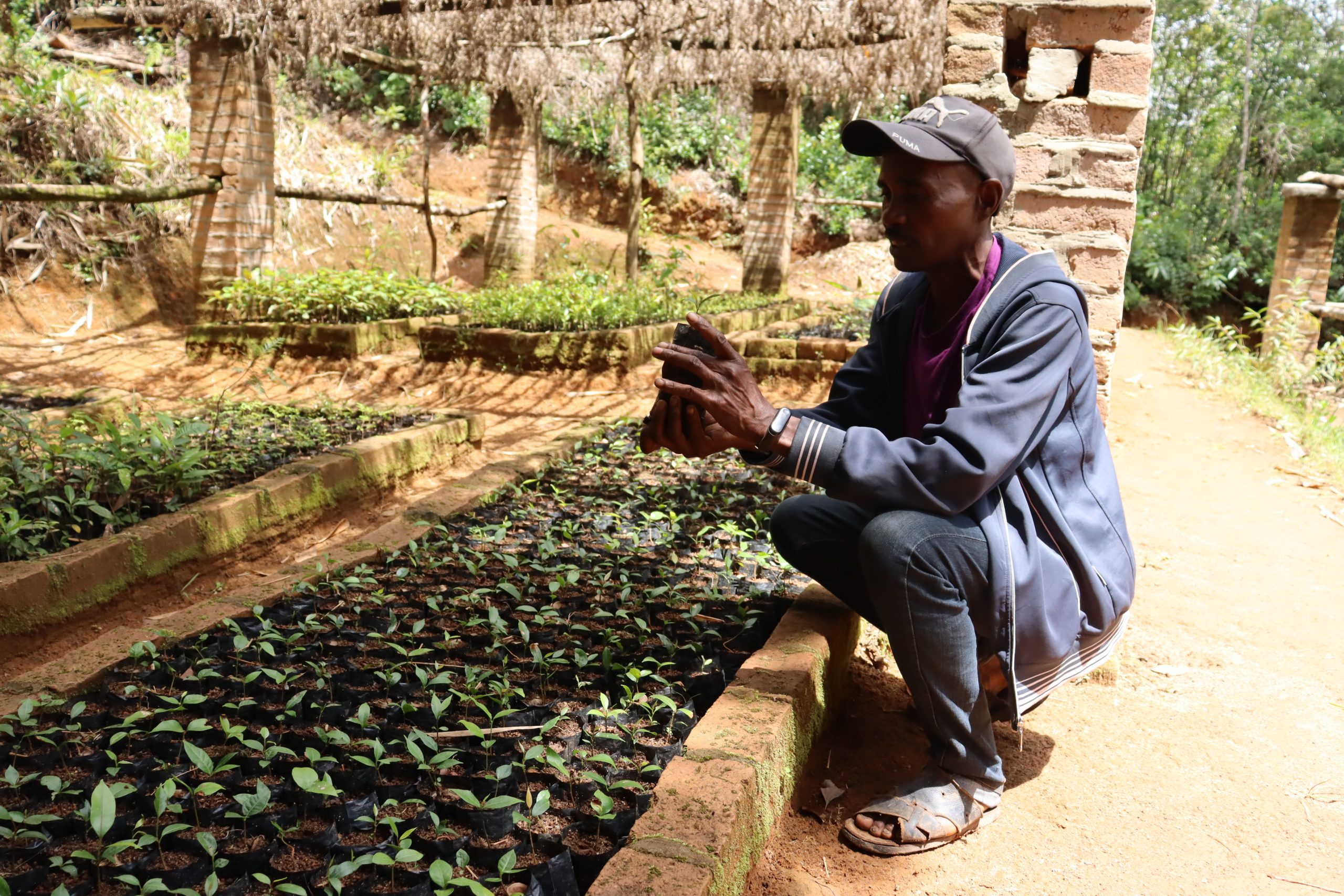 Empowering sustainable forest governance: TAFO MIHAAVO's conservation ...