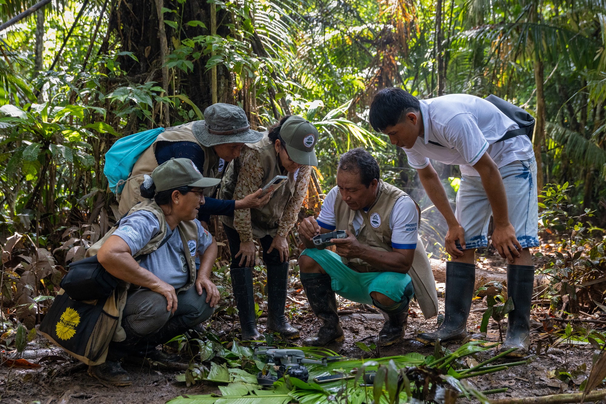 Call for proposals for NGOs and CSOs protecting nature under threat ...