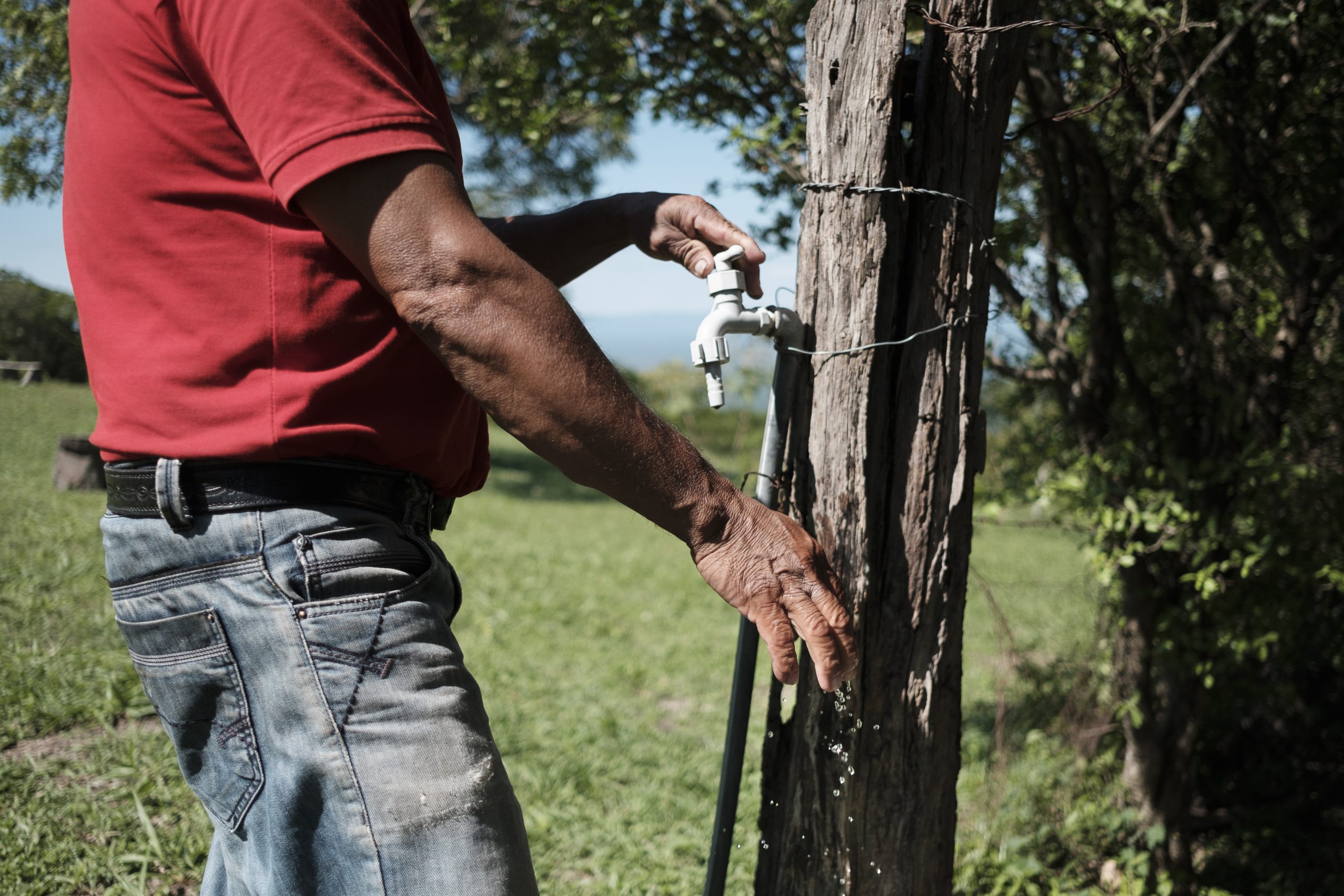 Modeling water futures: how climate change and deforestation are ...